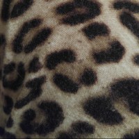 The Meaning of Life – A Life Less Narrow